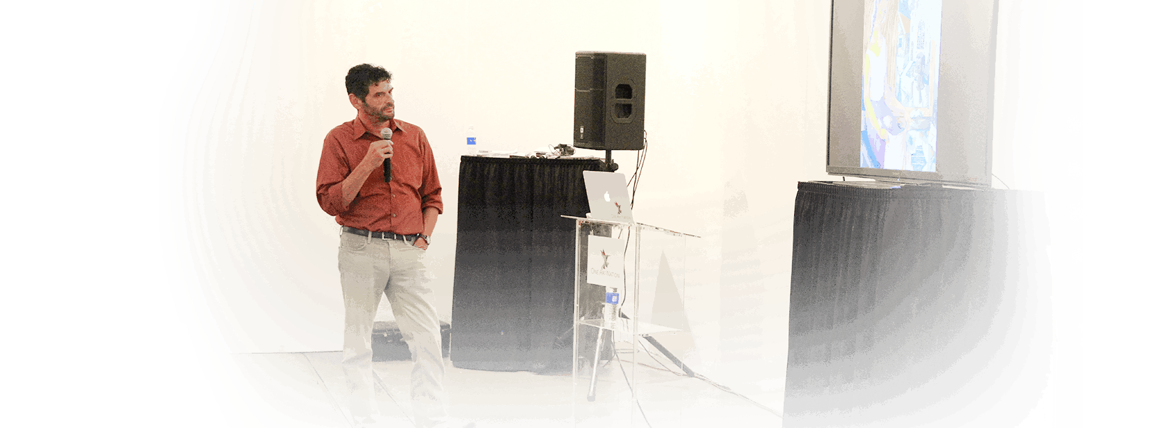 Visual Thinking Strategies (VTS) – Making Meaning in Art